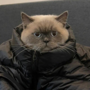 Hezzy - Goku ssj4 » Base Hip Hop Groups