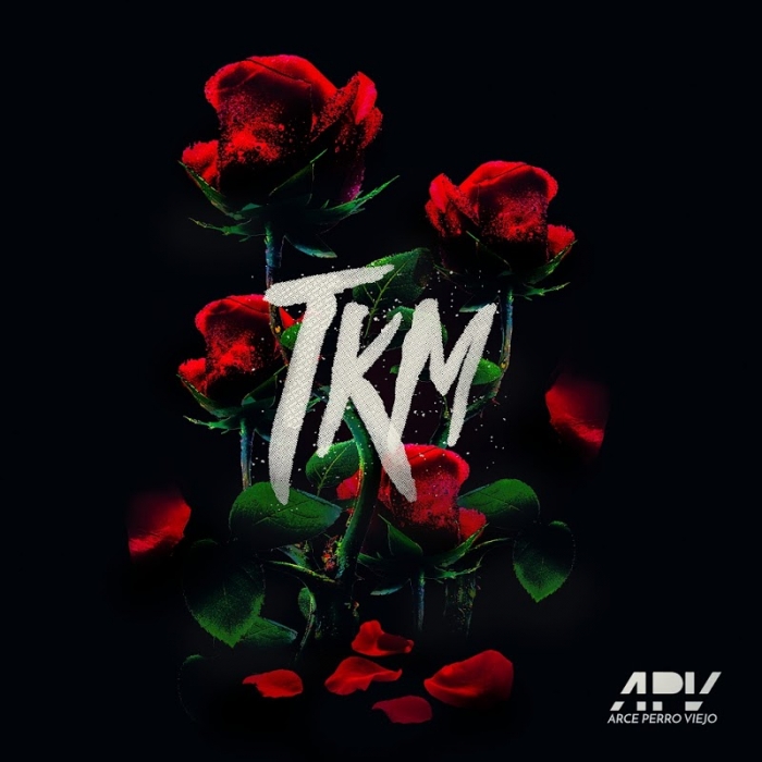 Arce - TKM » Letra Hip Hop Groups